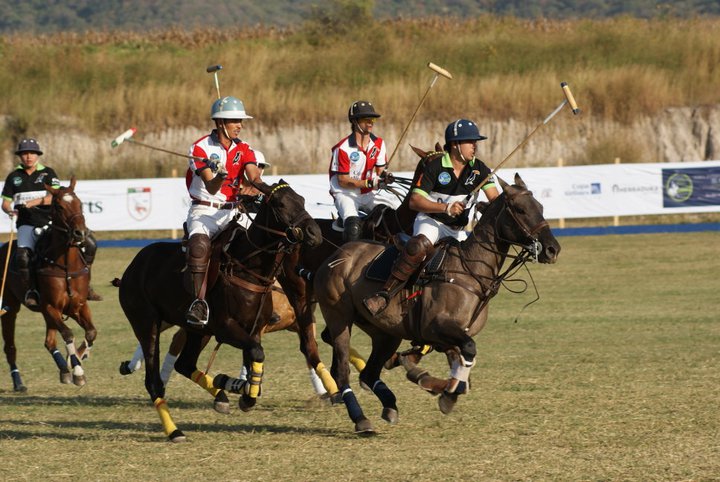 Polo El Molino Country & Lifestyle